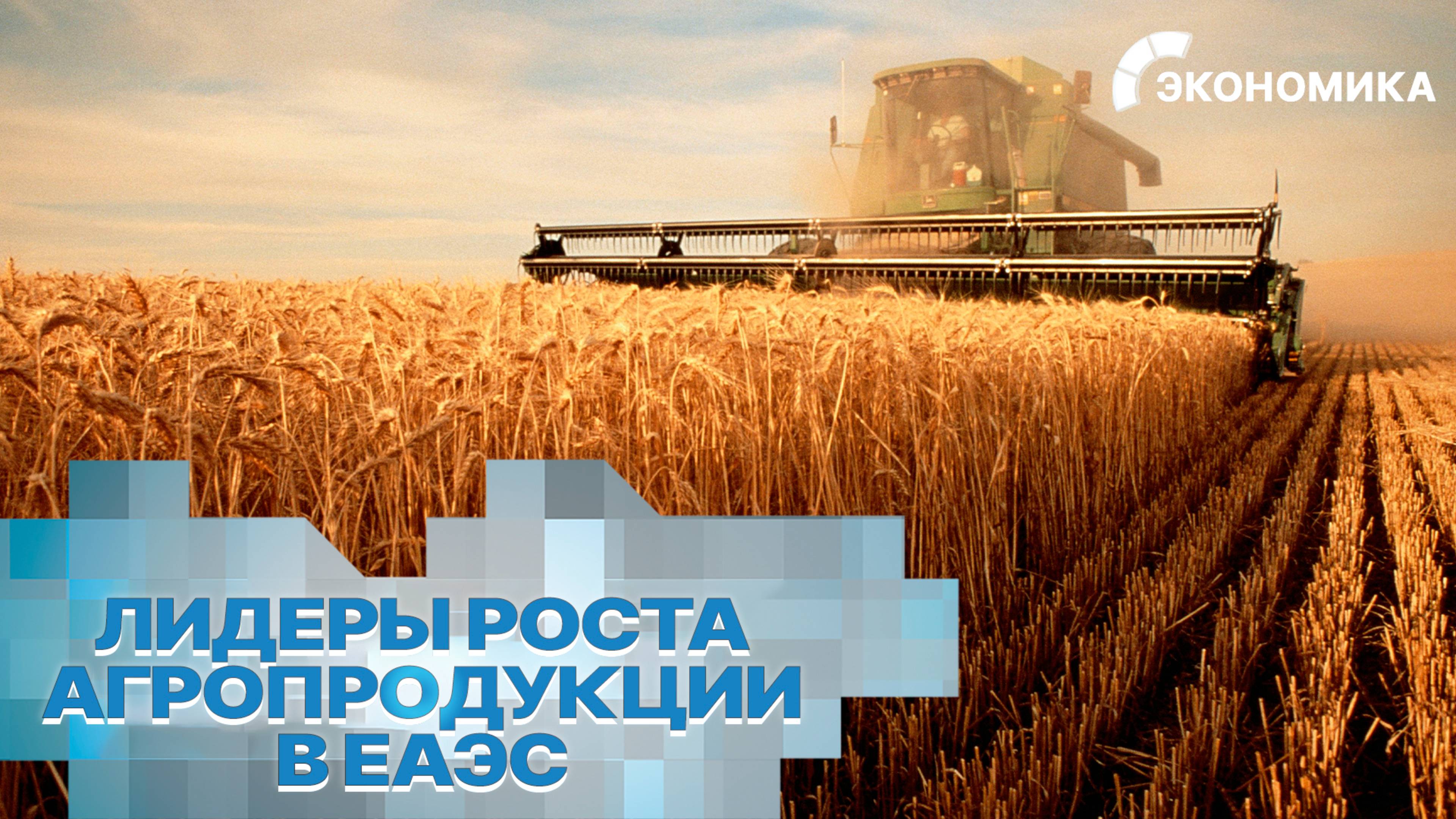 Сельхозпроизводство ЕАЭС растет. Кто в лидерах?