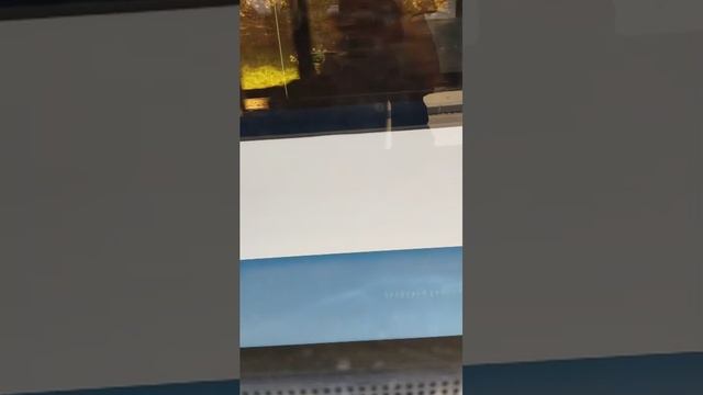 Поездки в общественном транспорте | 26-сен-2025