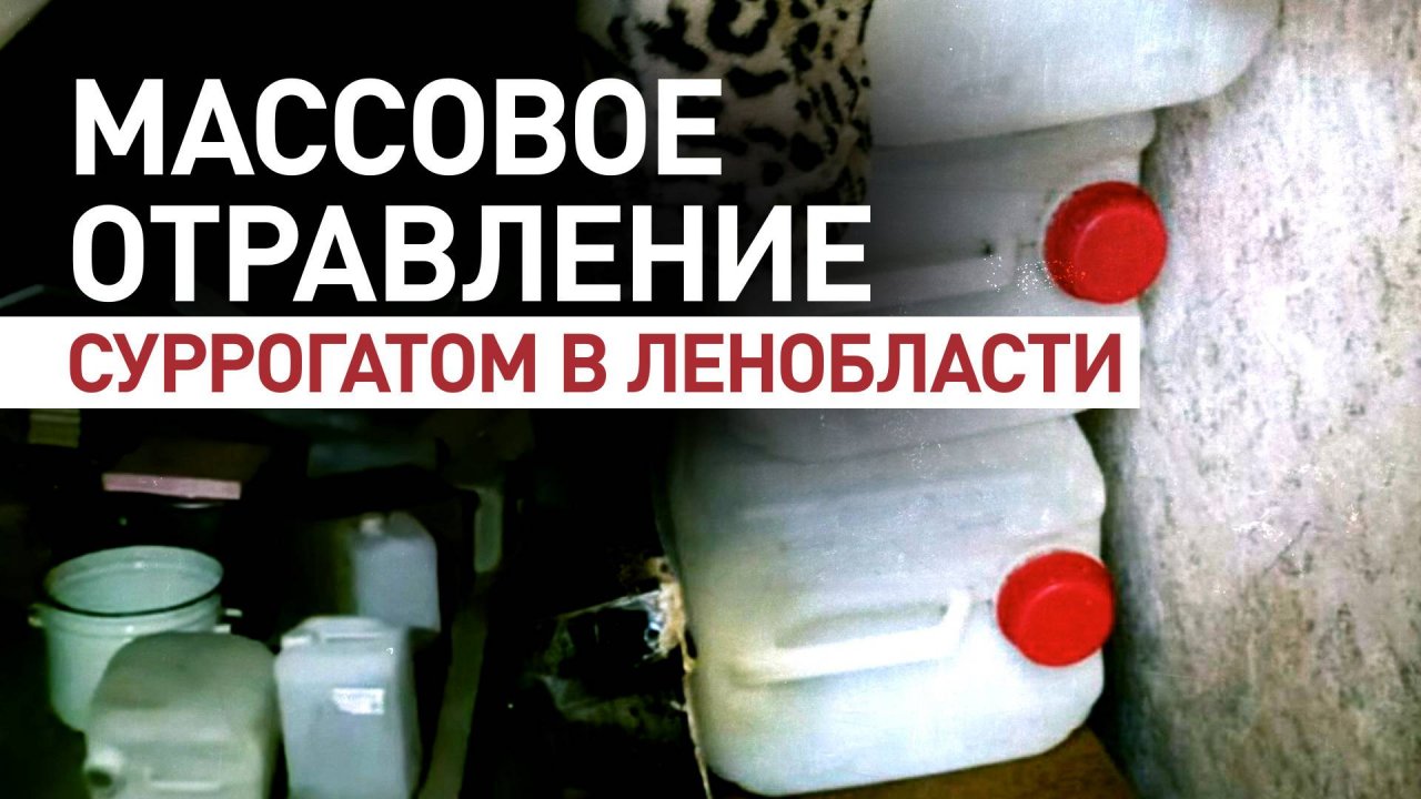 Смертельный бизнес пенсионеров: 19 человек погибли от отравления суррогатом в Ленобласти