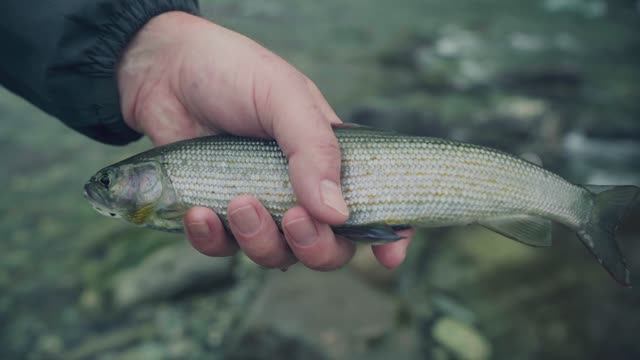 КИНОТЕАТР РЫБОЛОВА"