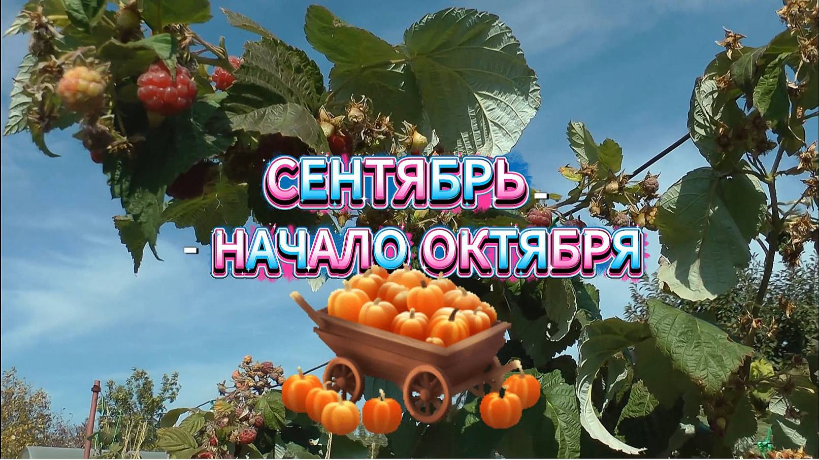 Календарь дачника. Сентябрь, начало октября.