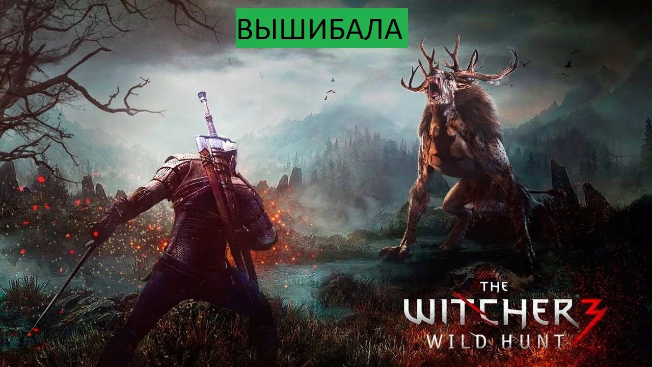 Ведьмак 3 Дикая Охота» Прохождения ВЫШИБАЛА