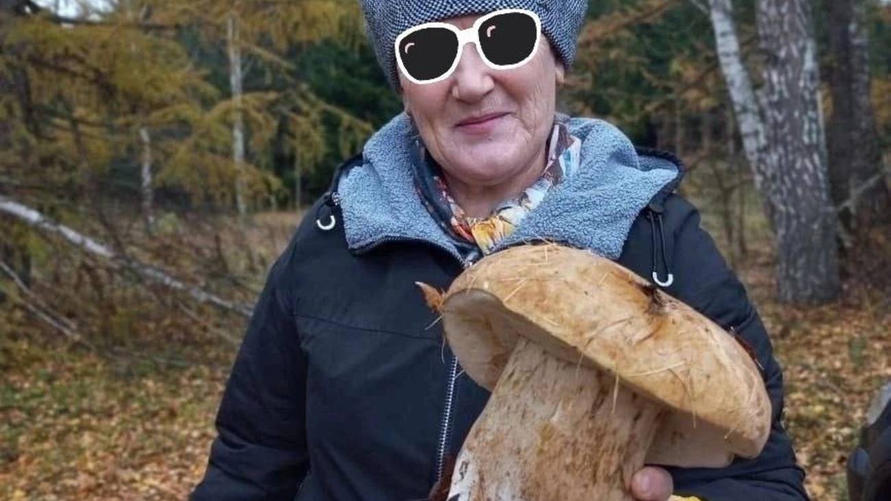 ГРИБЫ ! мой поход в ЛЕС  за грибами в подмосковье! Свежак! 1 часть!