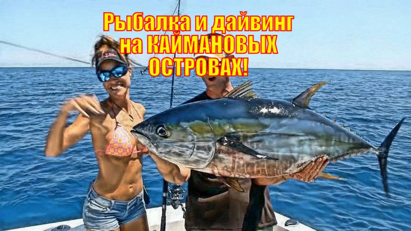 Рыбалка и дайвинг на КАЙМАНОВЫХ ОСТРОВАХ!