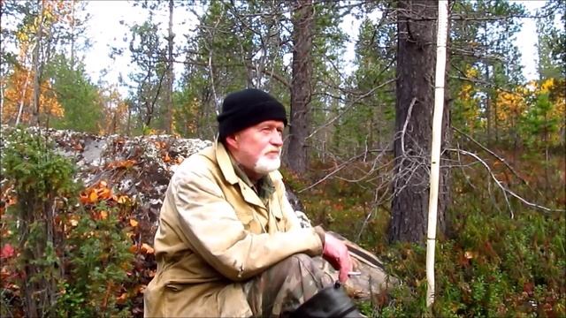 Разговор о разном в красивом лесу.