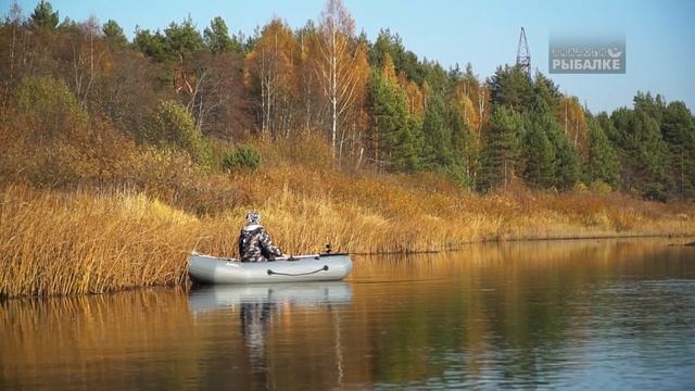 "ТАТЬЯНИН ДЕНЬ"