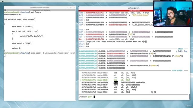 12.10 -Practical demonstration of for loop code construct in GDB of arm disassembly