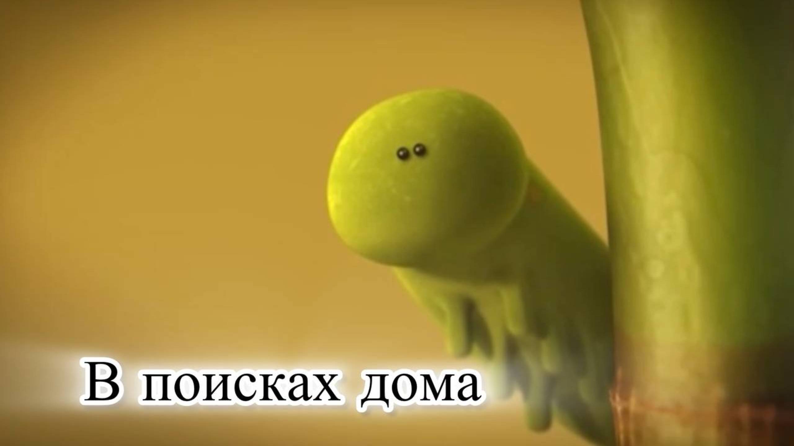 Насекомые. В поисках дома. Мультик для детей и взрослых.