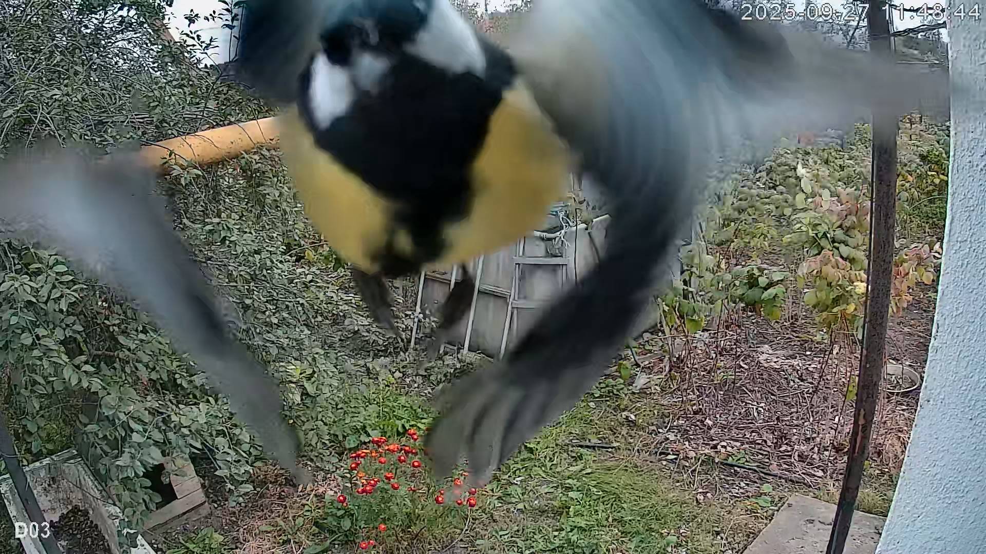 Пожелала попасть в интернет