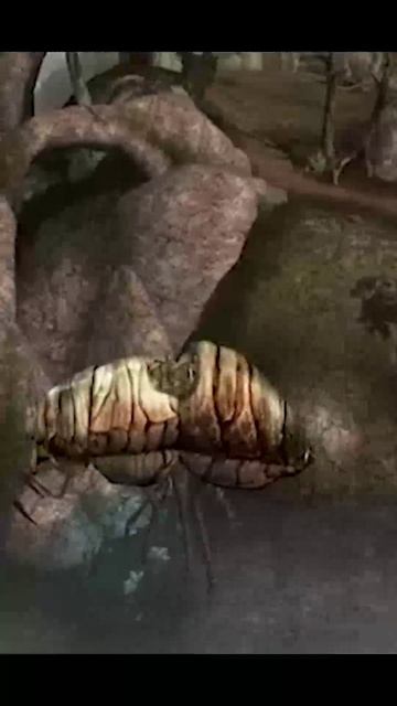 Райн Гослпнг и Морровинд #Morrowind #TES3 #ElderScrolls #shorts #tes #морровинд