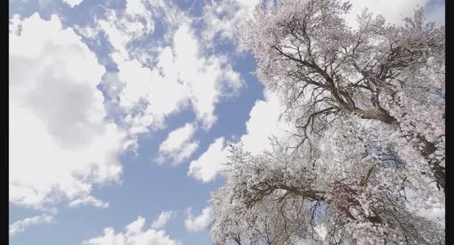 У природы нет плохой погоды (кавер)