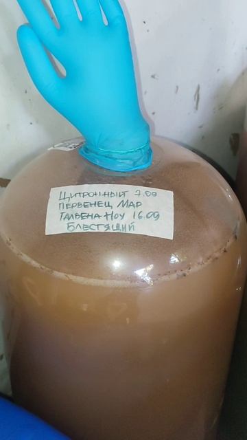 Моя микровинодельня