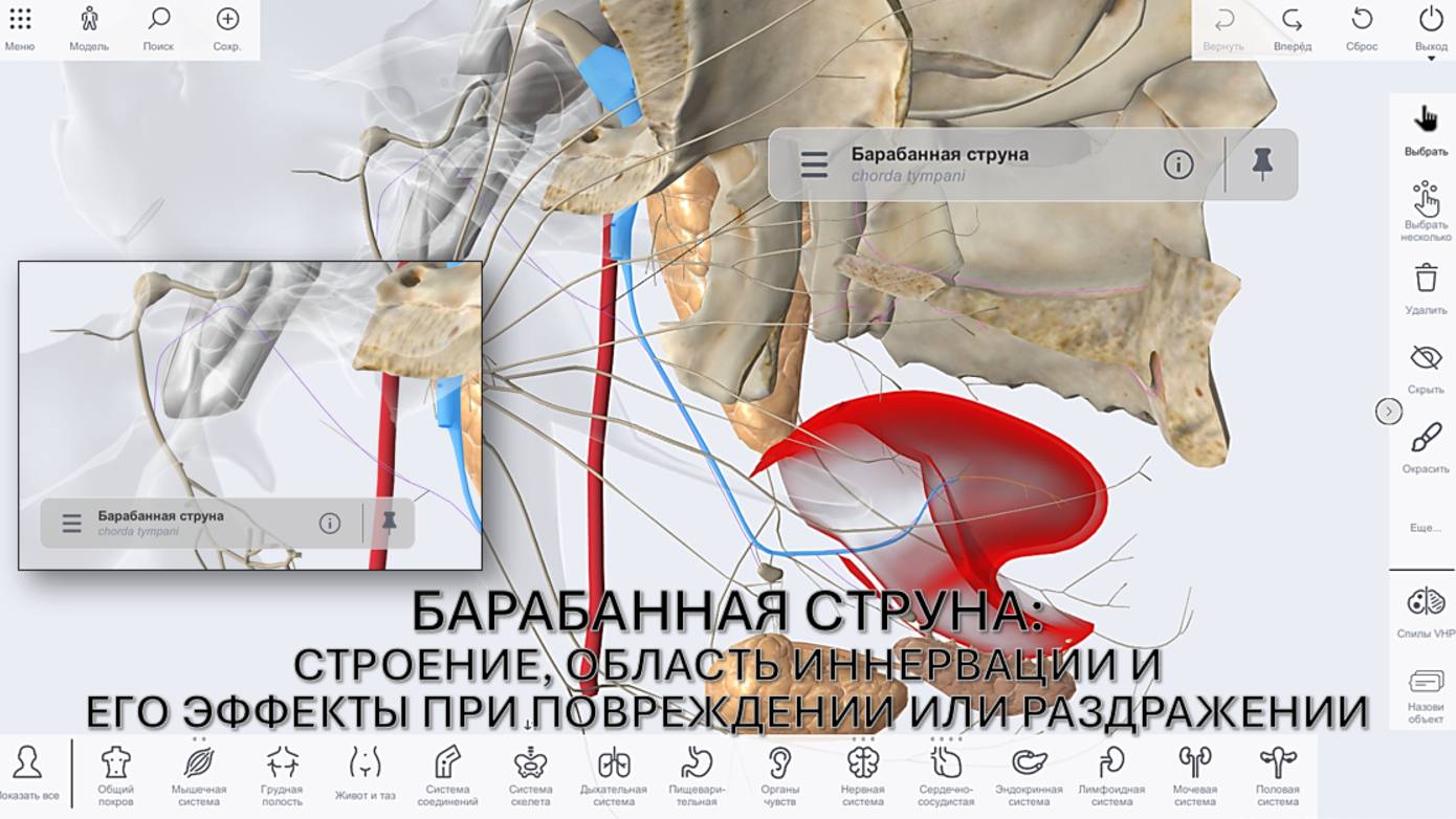 3. Барабанная струна