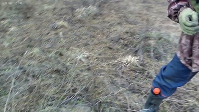 Коп со старой школой. Скай 63 и терки 705. К2