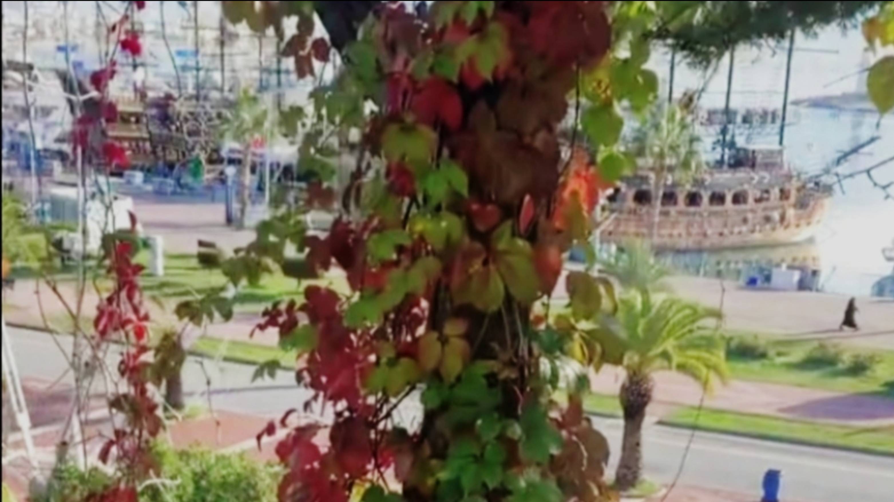 ОСЕННЯЯ АЛАНЬЯ. ТУРЦИЯ 2025.