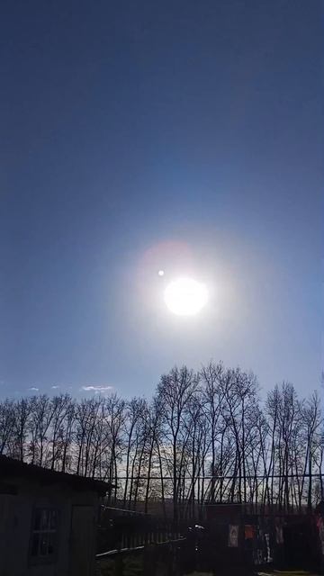 🌞 🐕🏍️ Заключительные аккорды бабьего лета 🤗