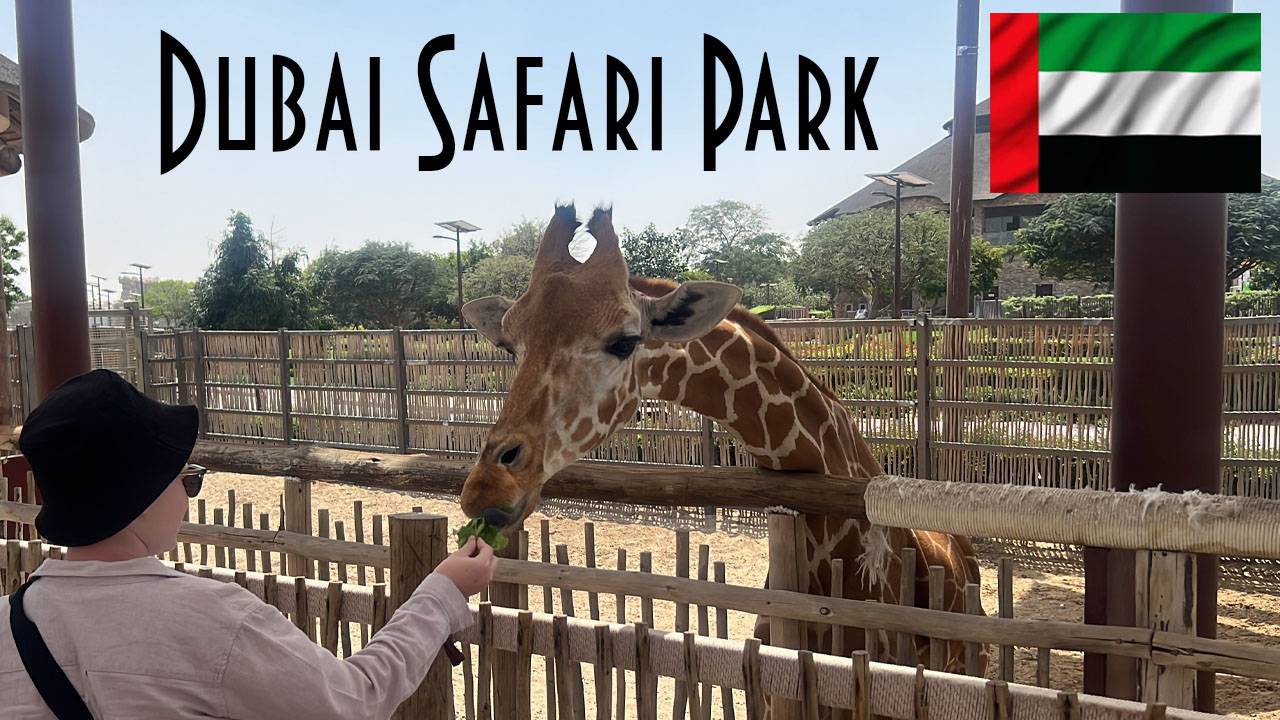 ОАЭ | Дубай | Куда пойти в Дубае с детьми? | Дубай Сафари Парк