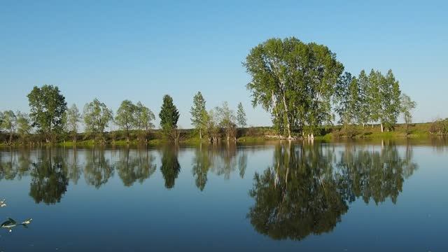 Река Чаус (Сибирь, Новосибирская область).