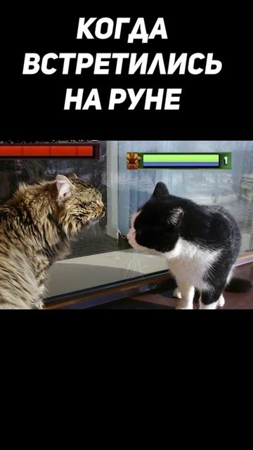 Когда встретились на руне #dota #dota2 #shorts #Дота #дотамемы