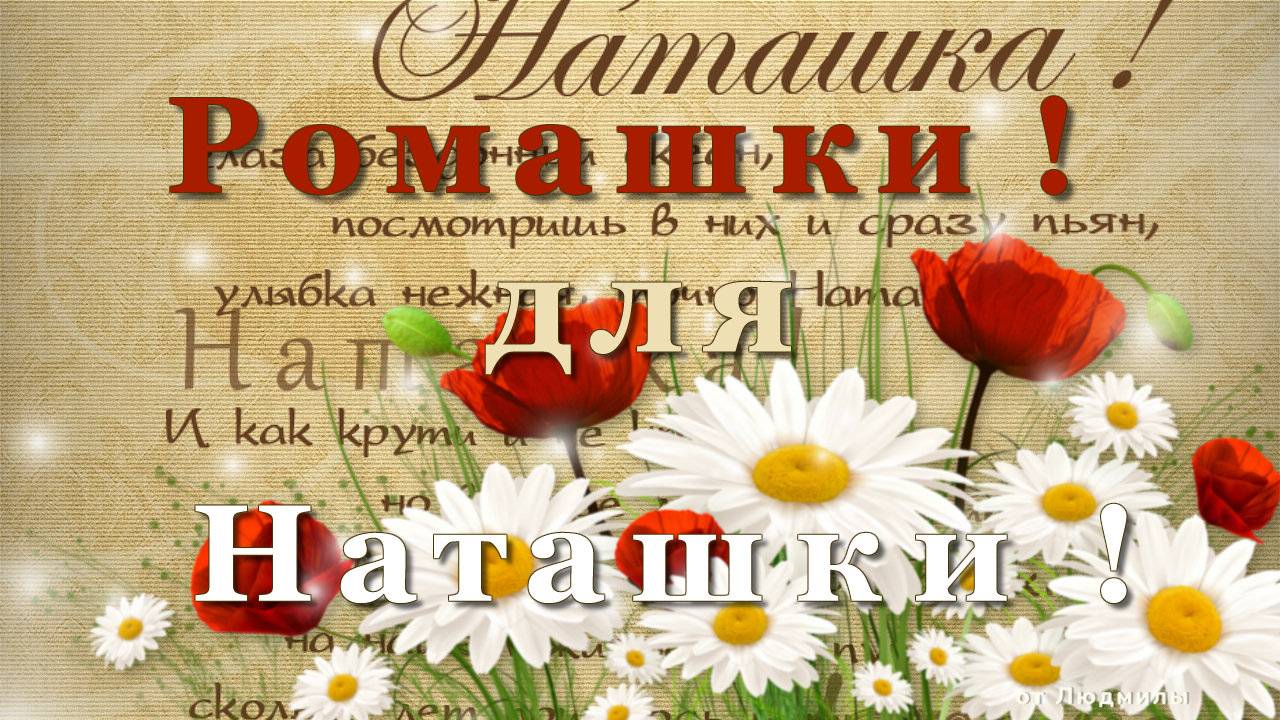 Ромашки для Наташки ID 2014-07-14 | Бесплатный проект ProShow Producer 6/9