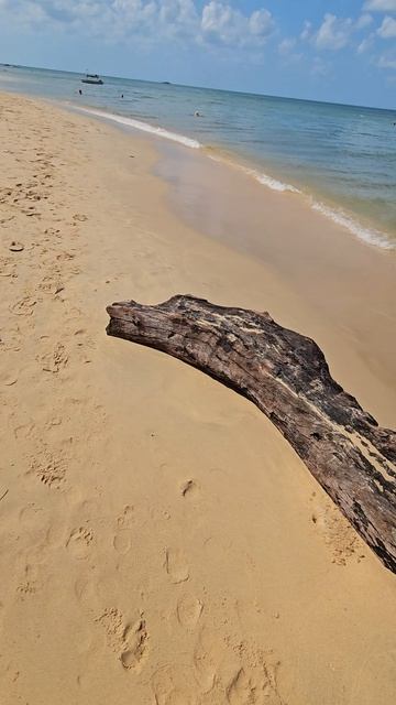 #shorts #вьетнам #фукуок Останки старого корабля выбросило на берег