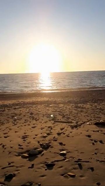 Следы на песке... 👣🐾