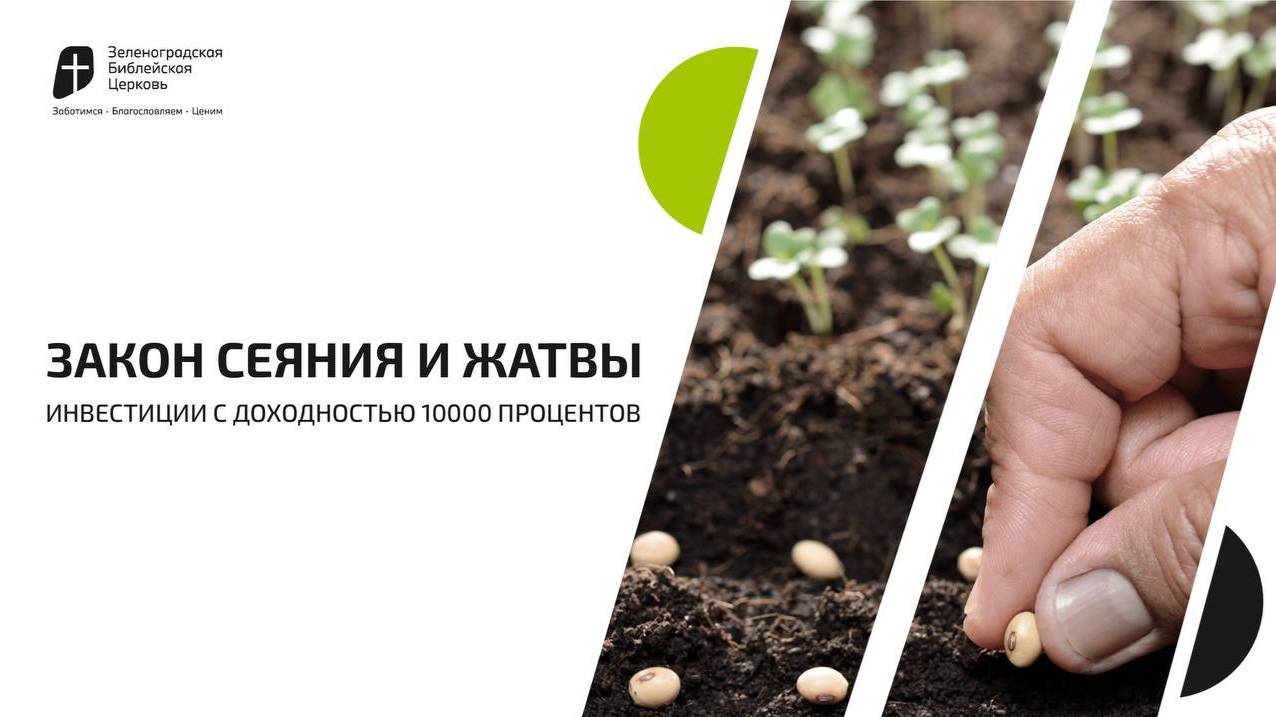 Закон сеяния и жатвы | Дрожалин Арсений