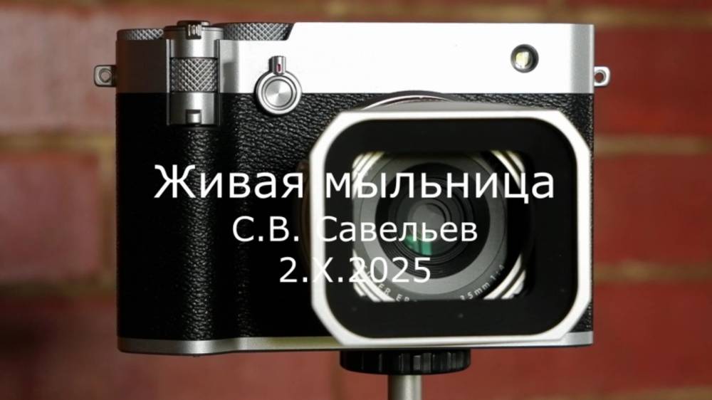 С.В. Савельев - Живая мыльница