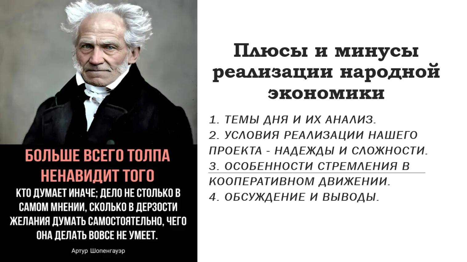 Плюсы и минусы реализации народной экономики.