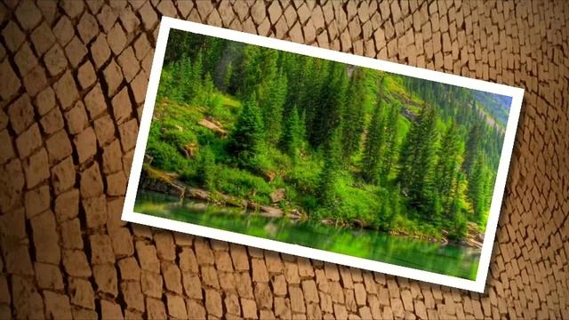 Ramio Lin - Полифоника