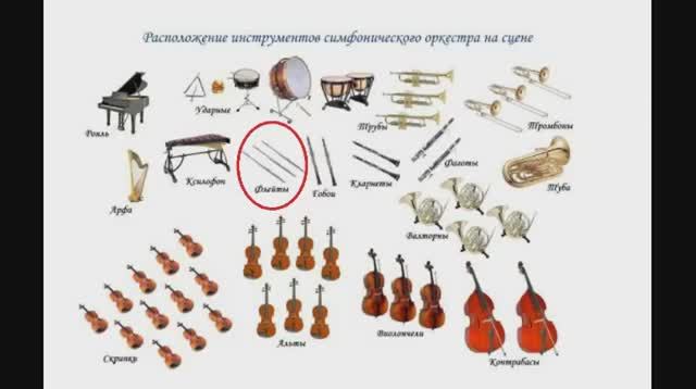 МУЗЫКА. ИНСТРУМЕНТЫ. ОРКЕСТР. СИМФОНИЧЕСКИЙ. ФЛЕЙТА.