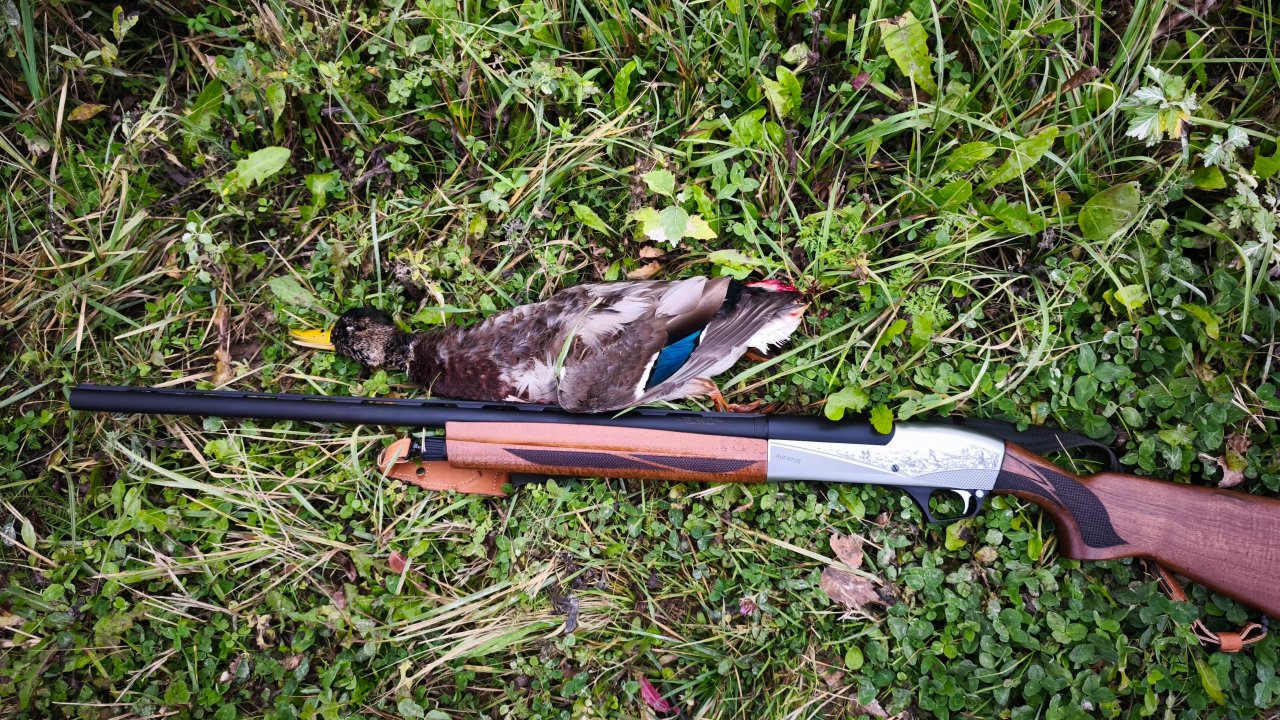 Видеозаметки с загонной охоты на утку в сентябре 2025 года.