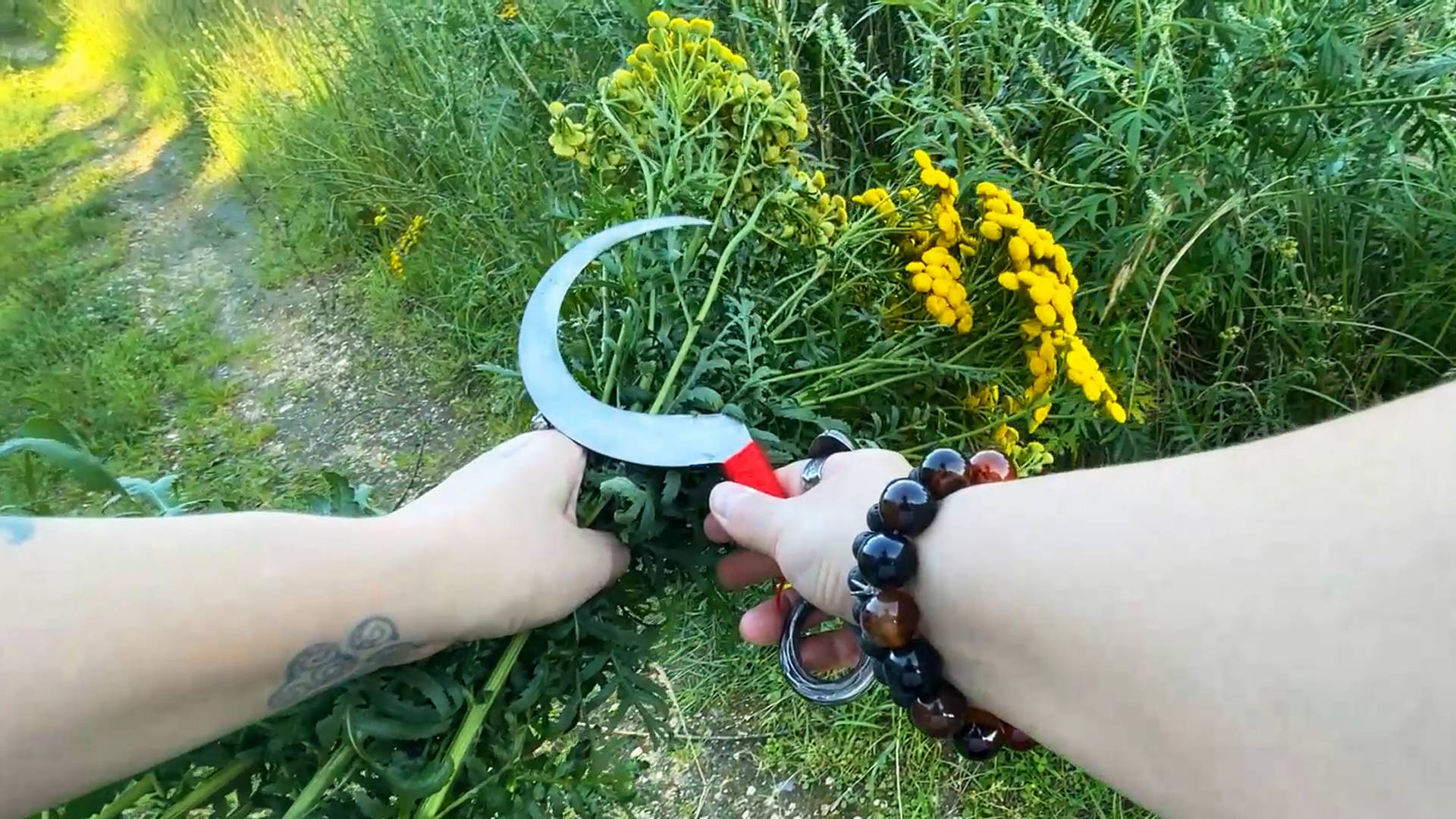Тест-драйв кованного серпа для сбора трав. Полнолуние 2025 года, заготовка сухоцветов.