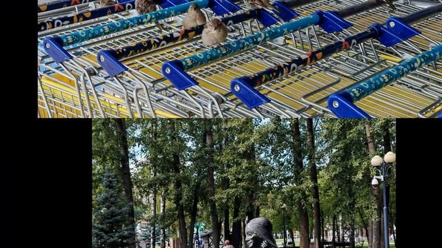 Отпуск август 2025 - Нижнекамск (не забудь лайкнуть и запустить ракету, если понравилось)