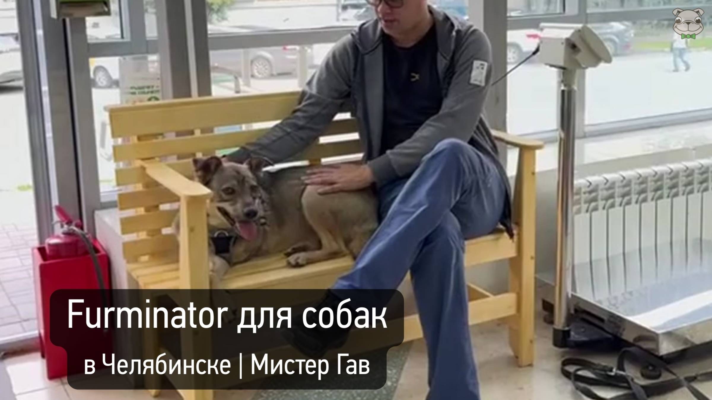 Отзыв: Фурминатор для собак | Где купить в Челябинске | Зоомагазин Мистер Гав