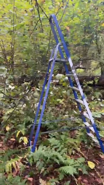 Туристический слет | Тургруппа "ПЕТРЕН&Ко" | Туристический клуб "Глобус" | 26-28.09.2025