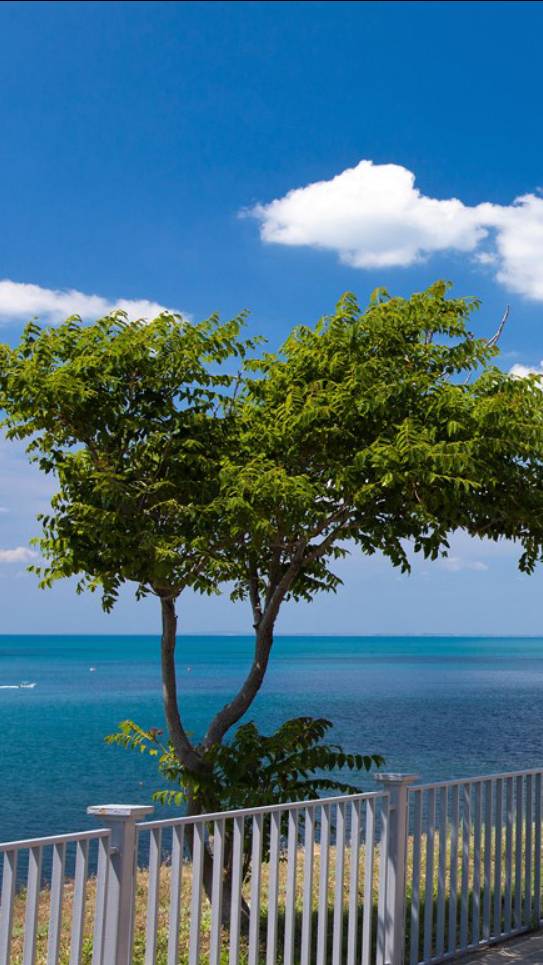 видео Анапа Патио