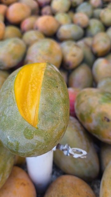 Манго как мед в Марокко