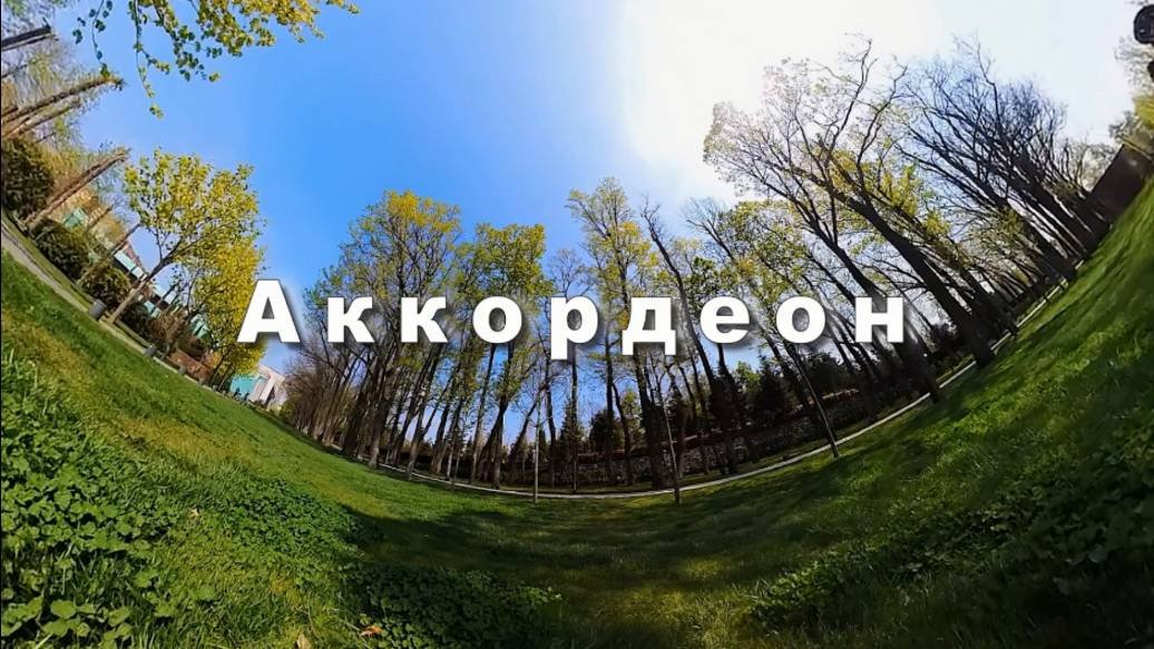 Женевский вальс, аккордеон, обработка Валерий Ковтун.  Музыка для души