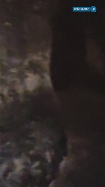 Загадочные пещеры цивилизации майя