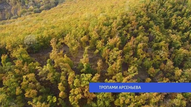 💕 Ещё одна насыщенная неделя пролетела в нашем крае. «Живём в Приморье» — выпуск 20