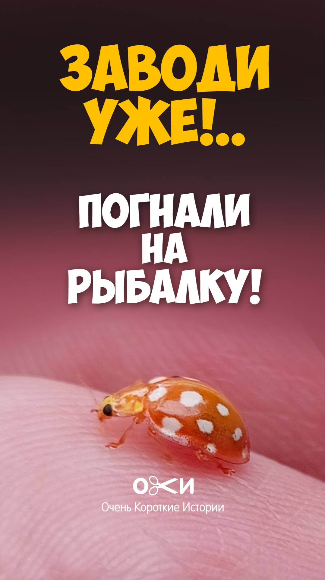 Заводи уже!.. Погнали на рыбалку!..