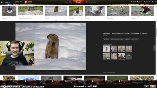 Стрим - Ор ор ор - Корзина, Комментанте и Амвау