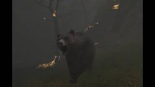 Tainted Grail: The Fall of Avalon. Часть 16