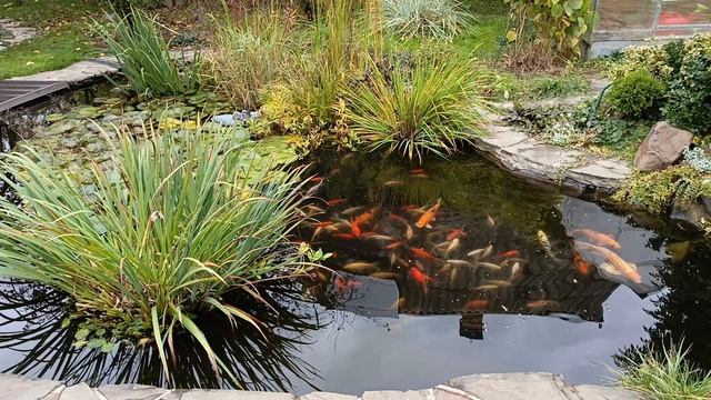 Закрытие сезона 2025.09.28