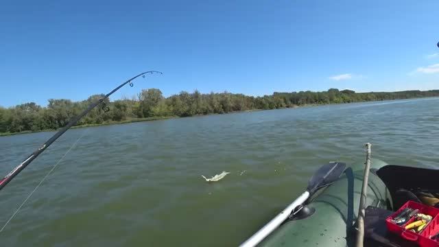 Хищник просыпается /Воблер сделал рыбалку_Рыбалка на Дону на ЩУКУ СУДАКА