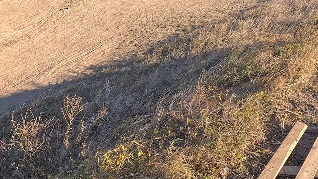 сходка закрытия сезона 2025 / 27.09.25 16/16 GX013838