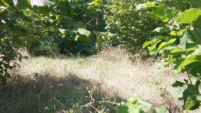 чего много в фундуках, догадайтесь :)