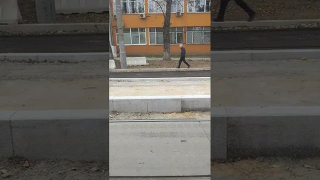 Поездки в общественном транспорте | 29-сен-2025