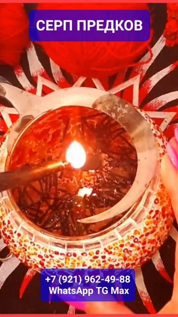 СЕРП ПРЕДКОВ #онлайн #ритуал #shorts #светланаведа